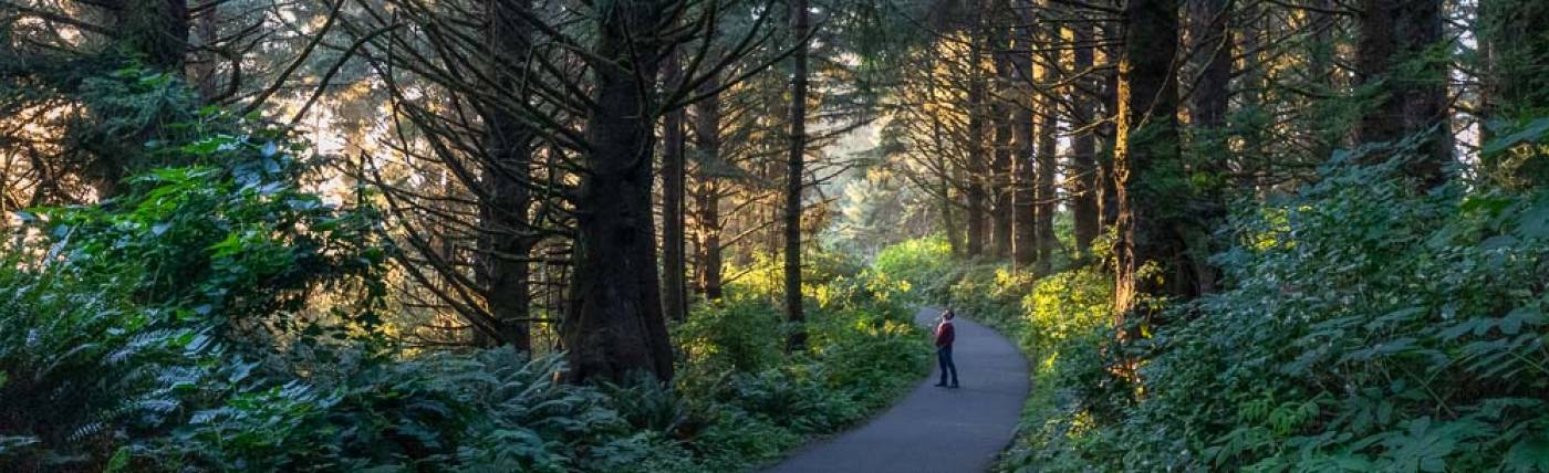 Washington Coast Vacation Rentals on Long Beach | Bloomer Estates