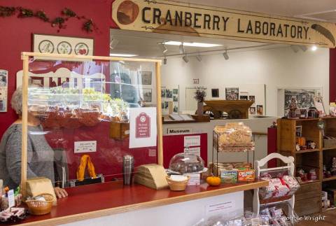 Gifts and Specialty Shops | Bloomer Estates Vacation Rentals